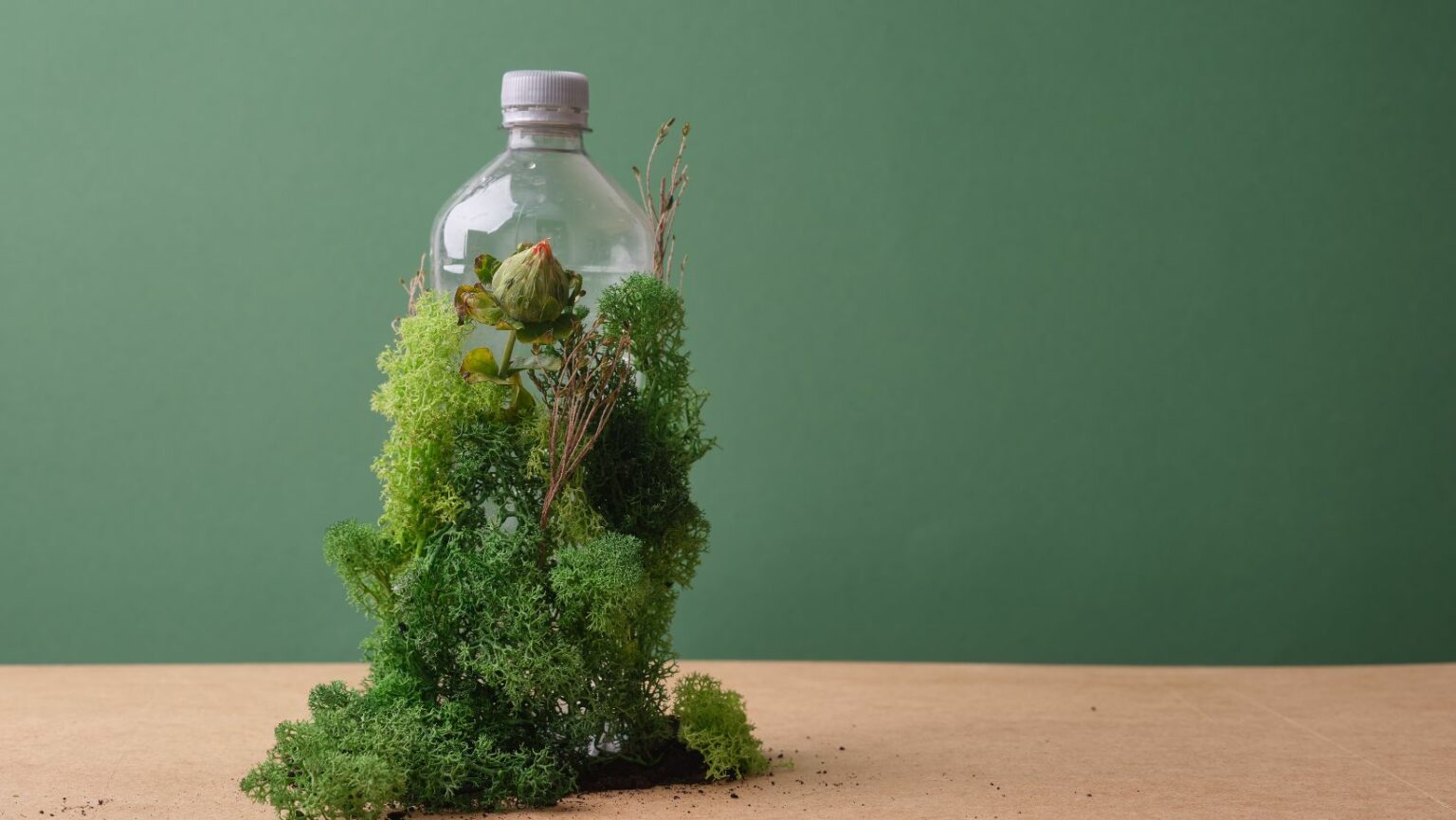 Examples of Sustainable Living: Benefits and Challenges