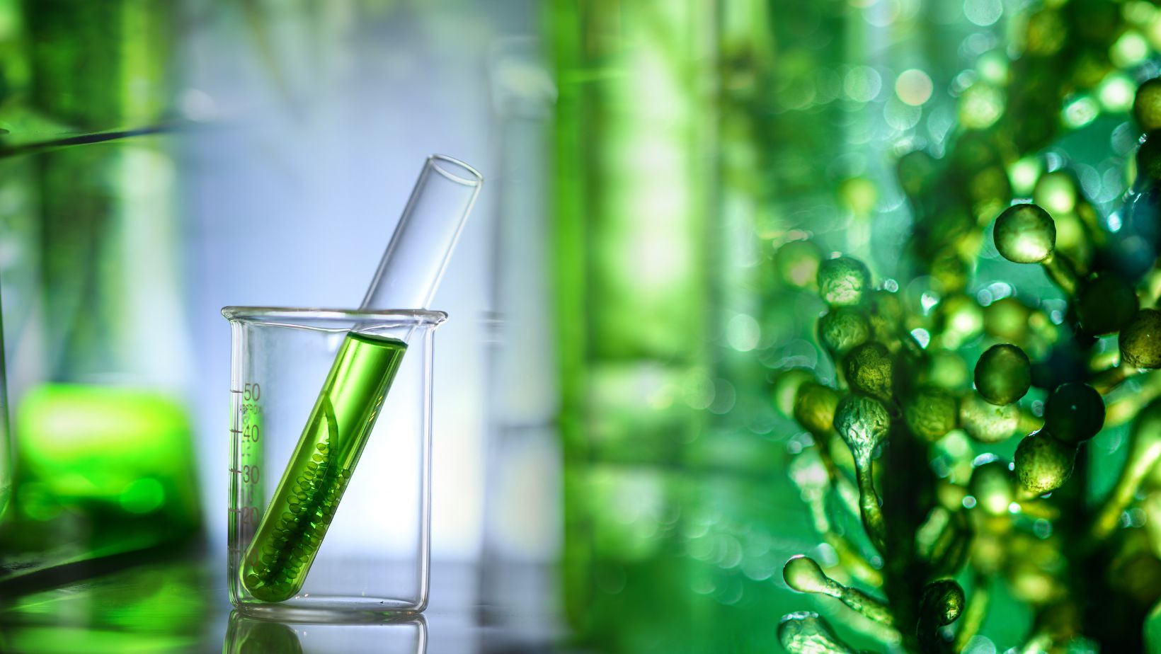 Advancing Eco-Friendly Solutions: The Impact of Environmental ...