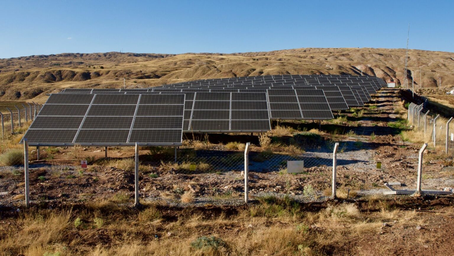 Exploring the Environmental Impact of Large-Scale Solar Farms ...
